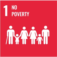 UN Sustainable Development Goal Cards